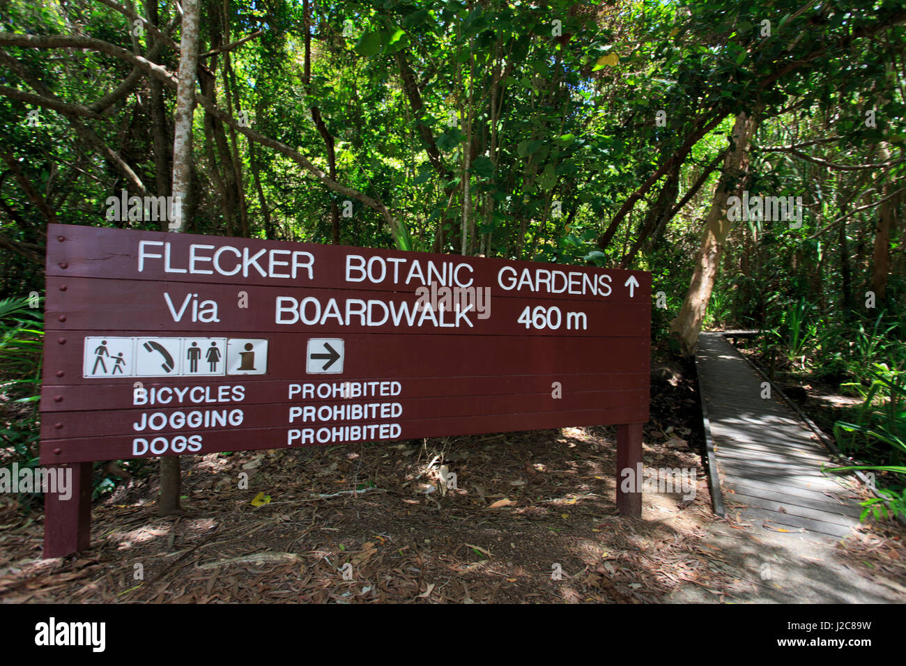The rainforest boardwalk connecting Centenary Lakes to the Botanic ...
