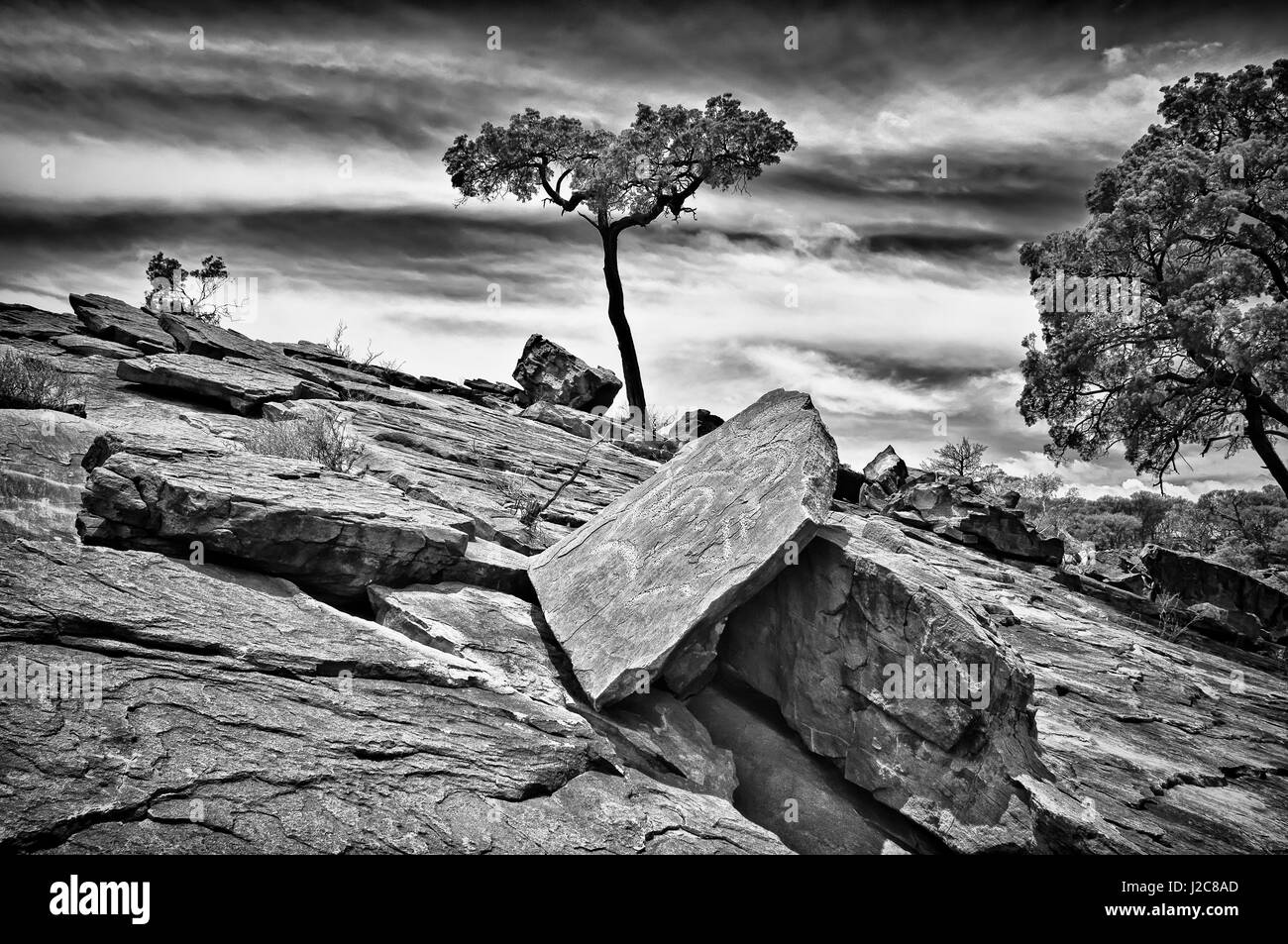 Mutawintji national park hi-res stock photography and images - Alamy