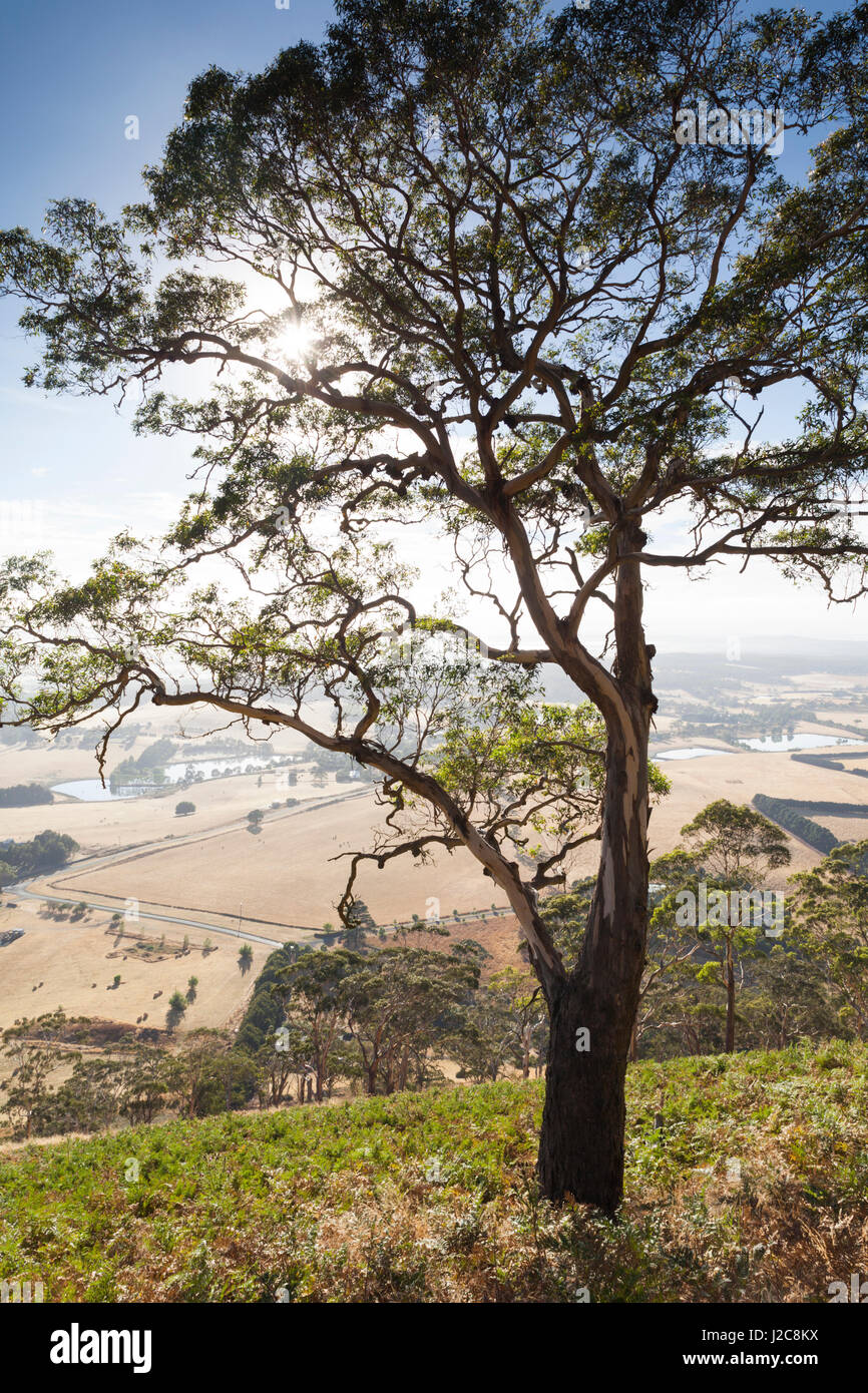 Australia, Victoria, Buninyong, elevated view of landscape from Mount ...