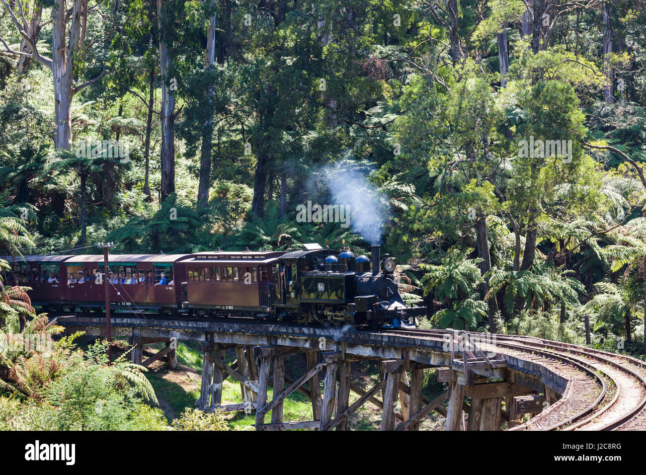 Australia, Victoria, The Dandenong Ranges, Belgrave, Puffing Billy ...