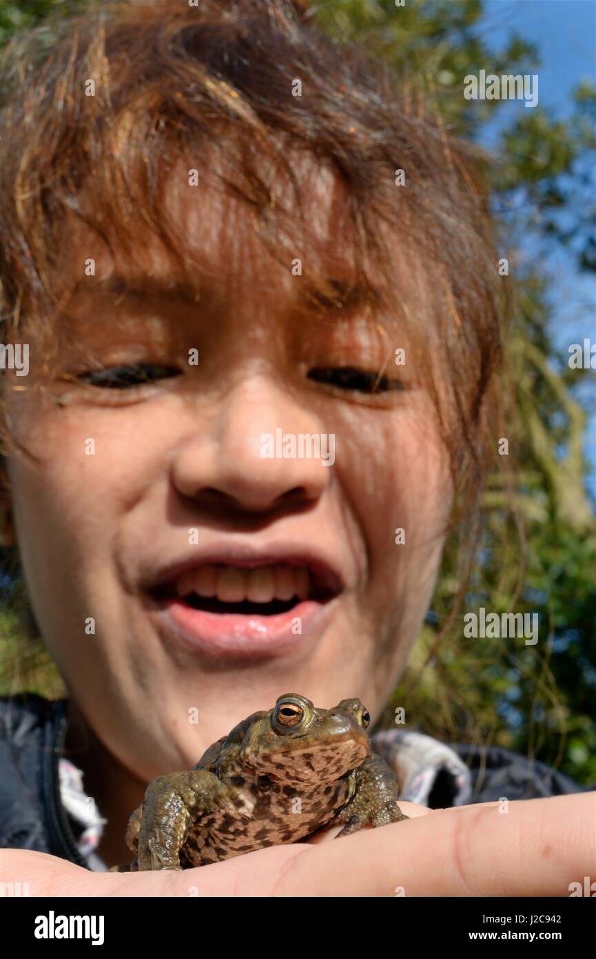 Asian common toad hi-res stock photography and images - Alamy