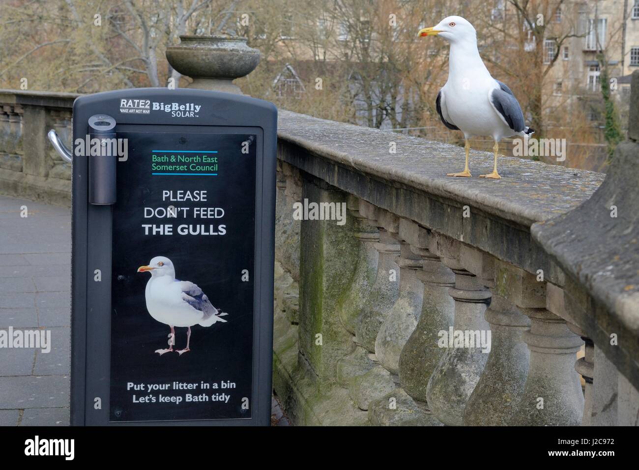 Gull proof bin hi-res stock photography and images - Alamy
