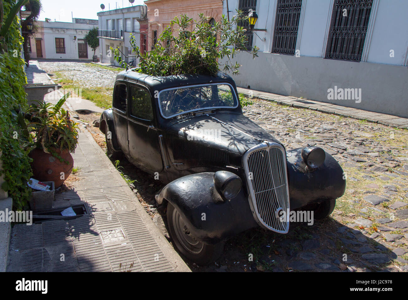 Old car, used as flower pot, standing in the streets of Colonia ...