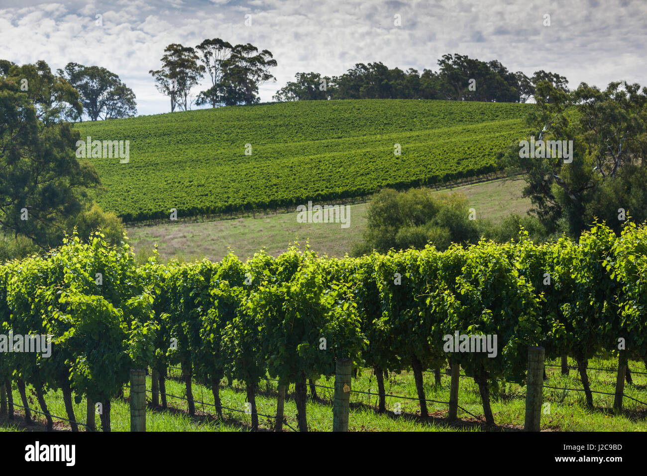 Gumeracha hi-res stock photography and images - Alamy