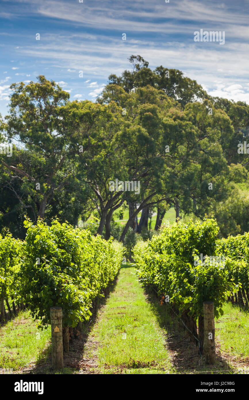 Gumeracha south australia hi-res stock photography and images - Alamy
