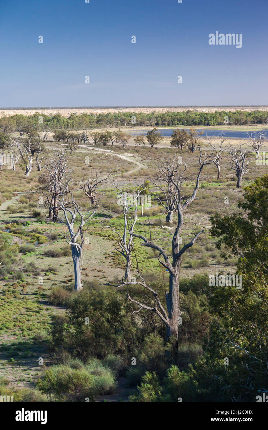 Australia, Murray River Valley, Blanchetown, Murray River marshes ...