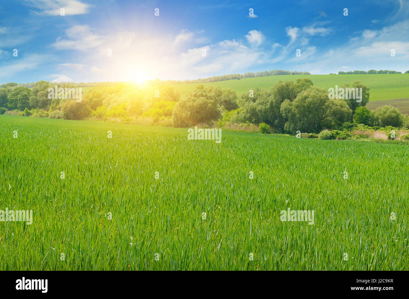 field, sunrise and blue sky Stock Photo - Alamy