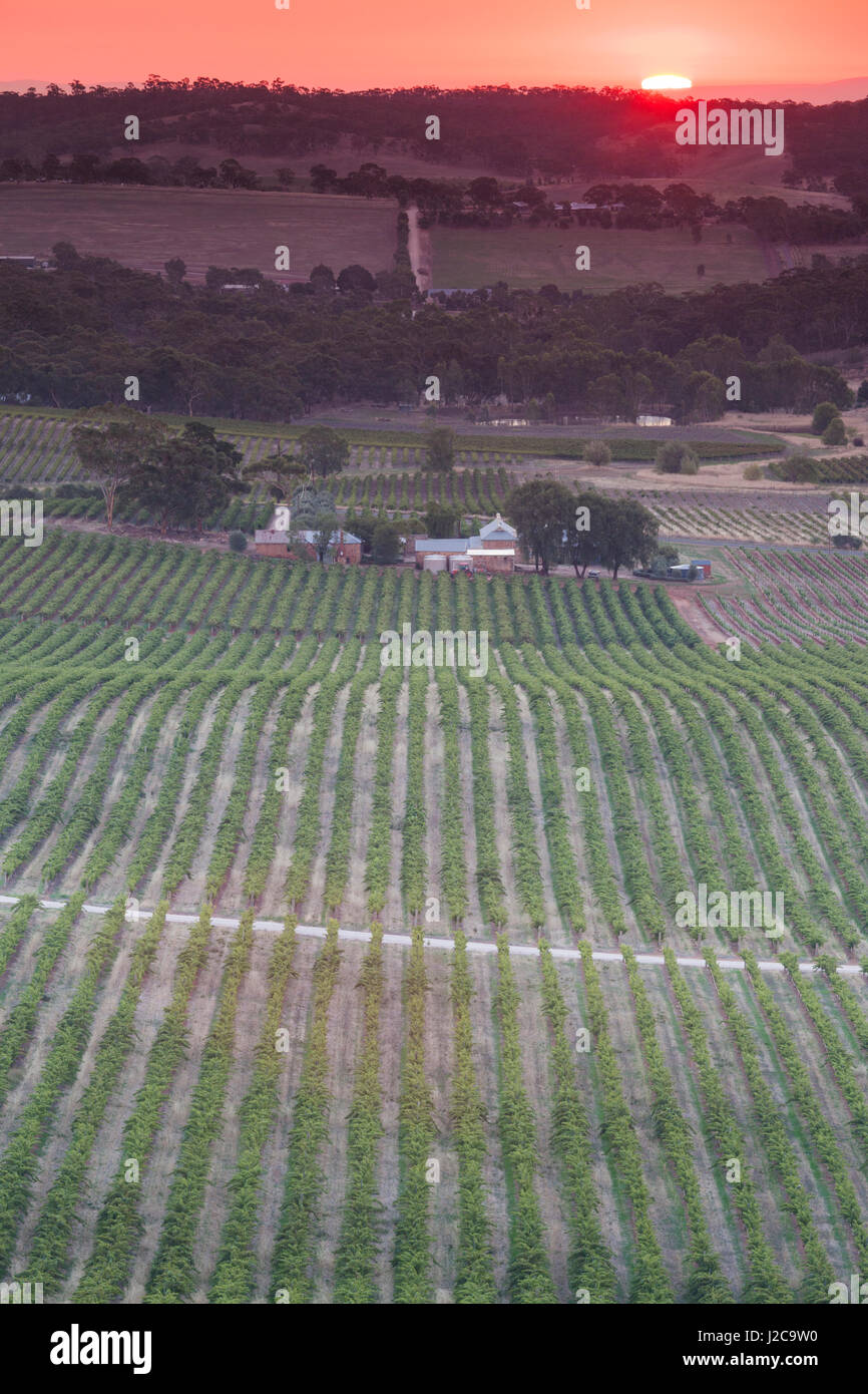 Clare valley riesling vineyard hi-res stock photography and images - Alamy