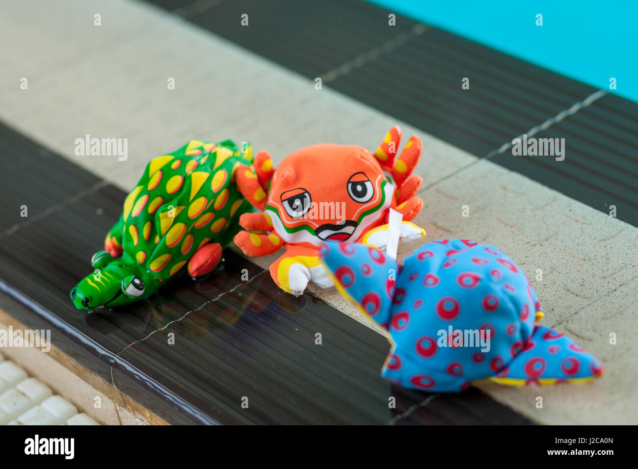 Swimming Pool Friends Stock Photo - Alamy