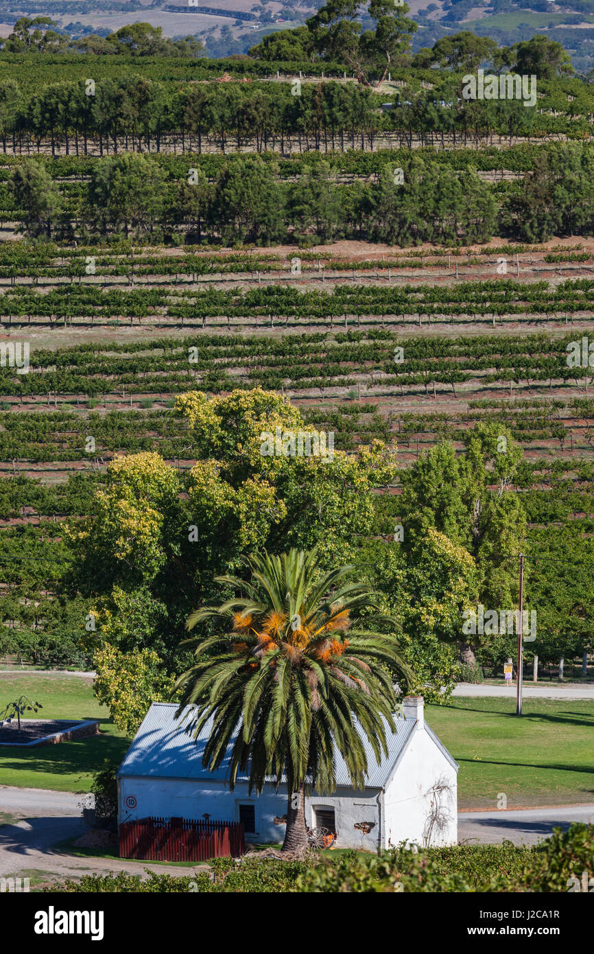 Australia, Fleurieu Peninsula, McLaren Vale Wine Region, McLaren Vale ...