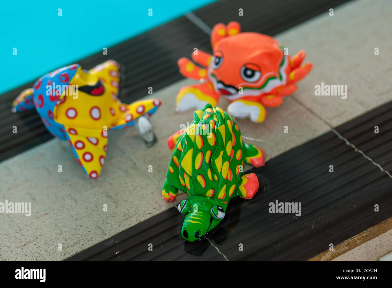 Plastic swimming pool toys hi-res stock photography and images - Alamy