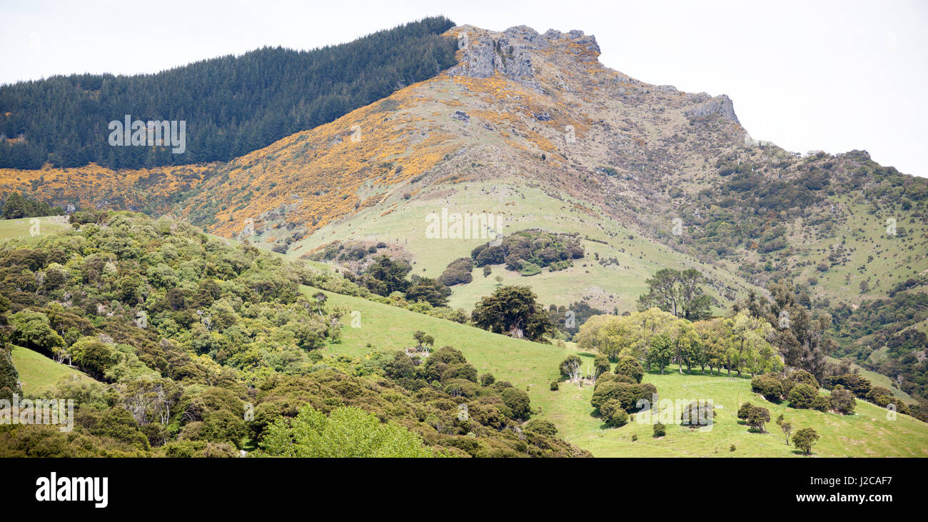 The panoramic view of a countryside outside Akaroa resort town (New ...
