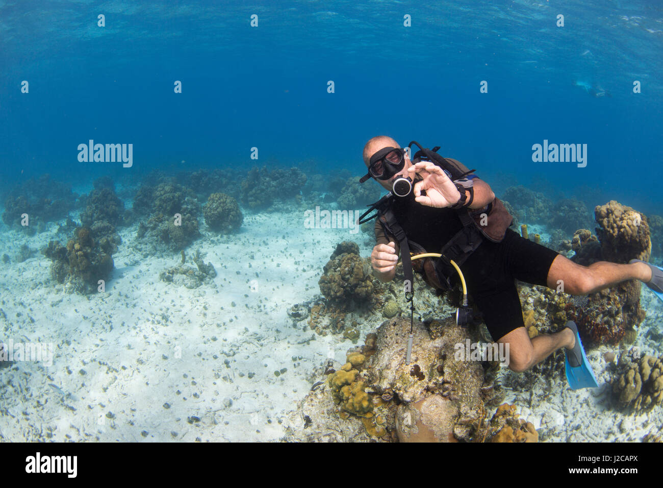 A scuba diver signals 'ok' during a dive in the Bay of Pigs near the ...