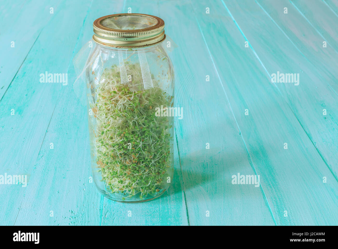 Newly sprouted leaf hi-res stock photography and images - Alamy