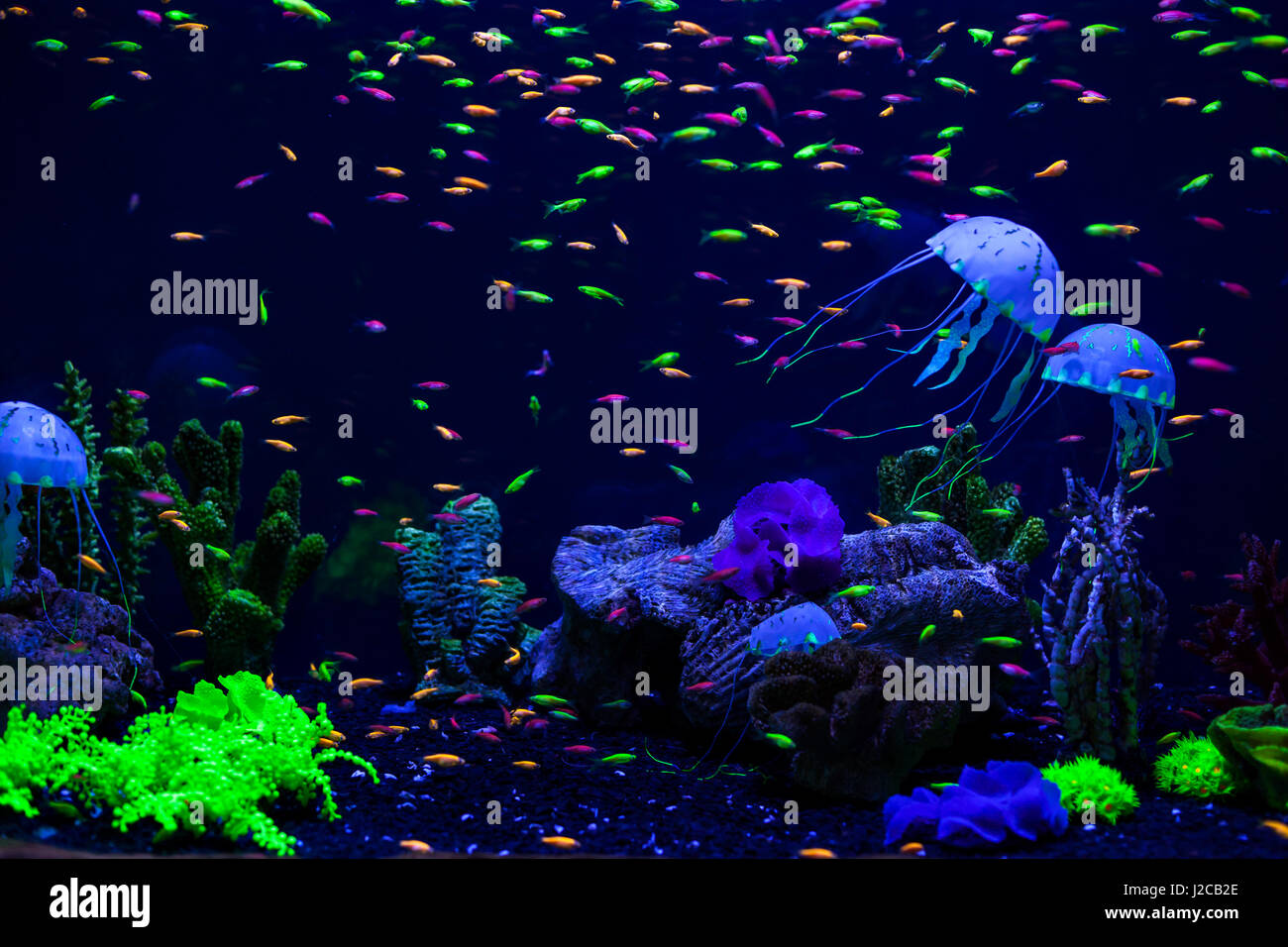Deep ocean floor hi-res stock photography and images - Alamy
