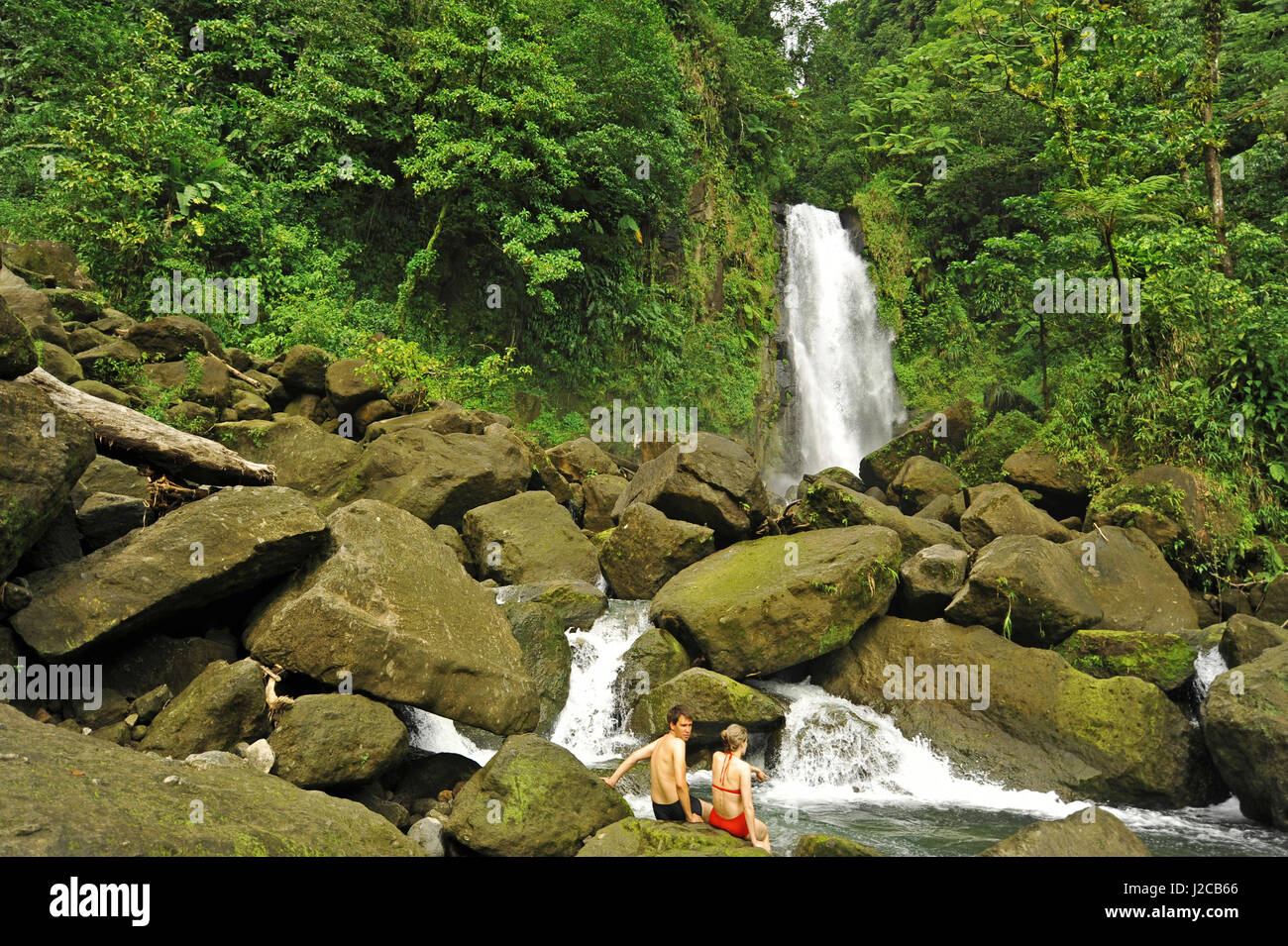 Dominica, Morne Trois Pitons, twin waterfalls of Trafalgar Falls Stock ...