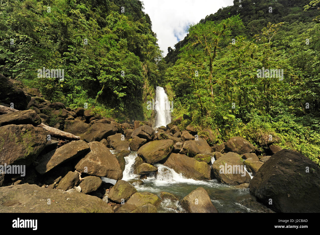 Dominica, Morne Trois Pitons, twin waterfalls of Trafalgar Falls Stock ...