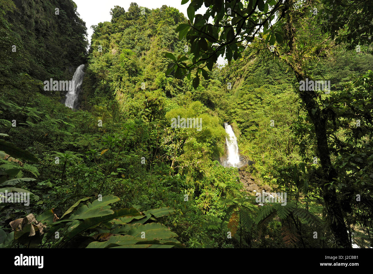 Dominica, Morne Trois Pitons, twin waterfalls of Trafalgar Falls Stock ...