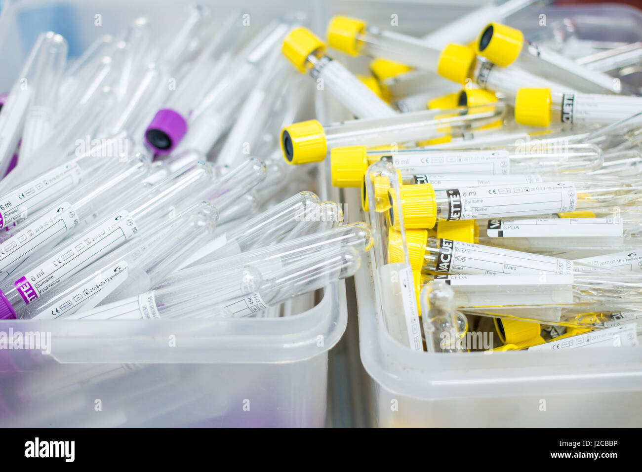 Blood donor tube for blood donation Stock Photo - Alamy