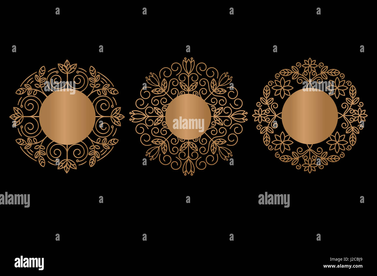 Luxurious frames with golden vines Stock Photo - Alamy