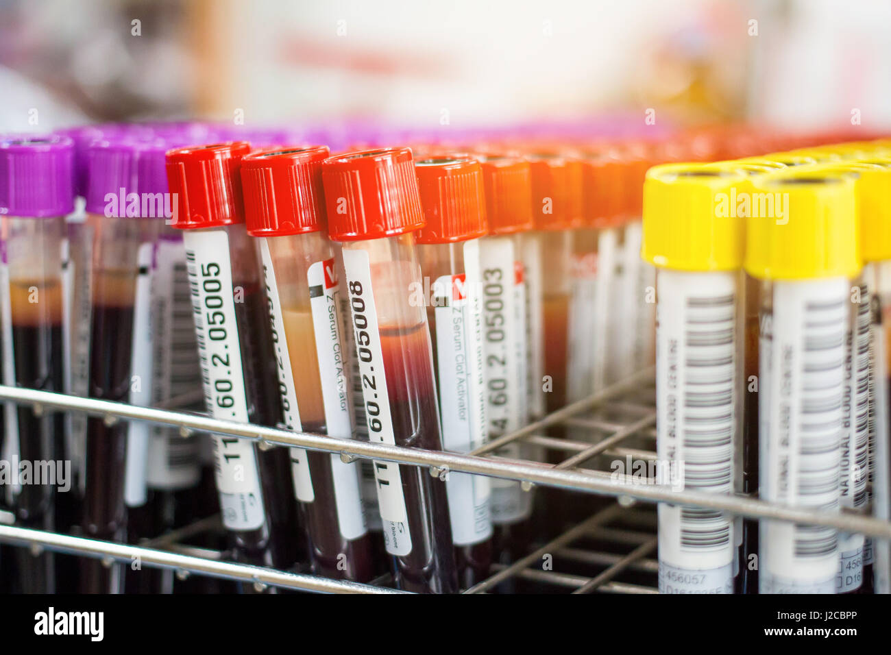 Blood donor tube for blood donation Stock Photo - Alamy