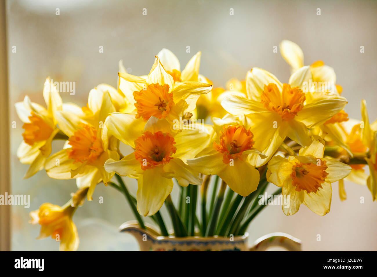 Daffs in a Window Stock Photo - Alamy