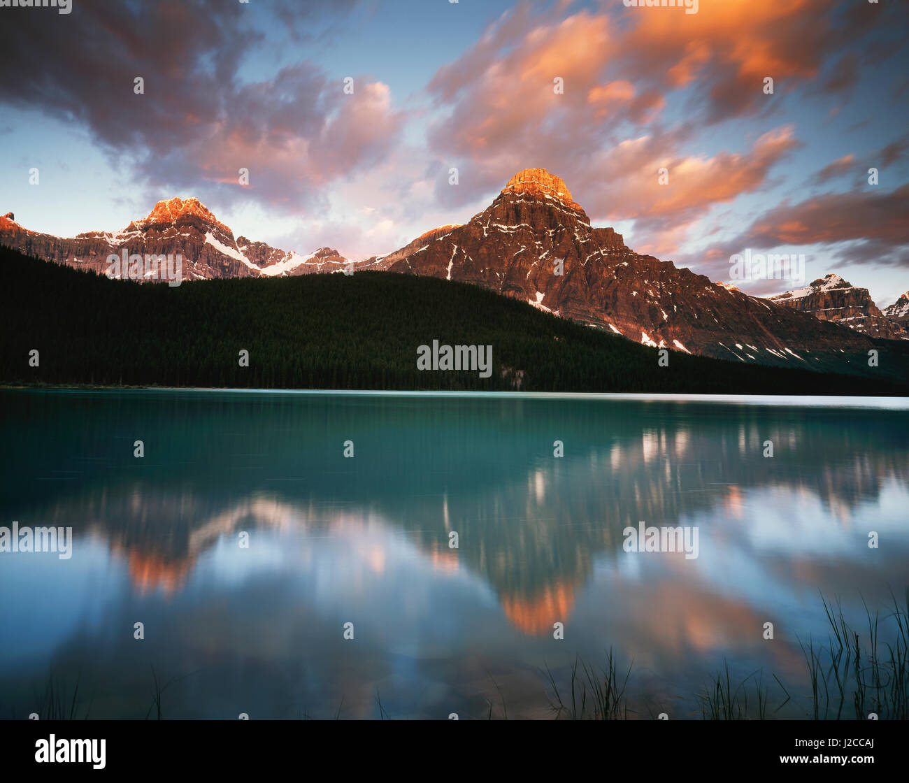 Canada, Alberta, Banff National Park, Mount Chephren reflects in a lake ...