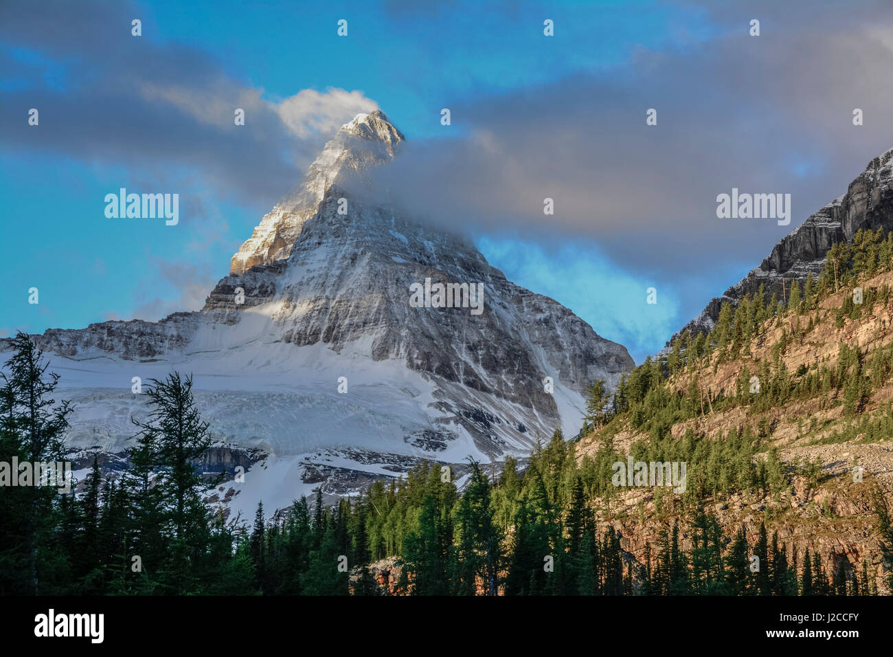 Mount assiniboine summer hi-res stock photography and images - Alamy