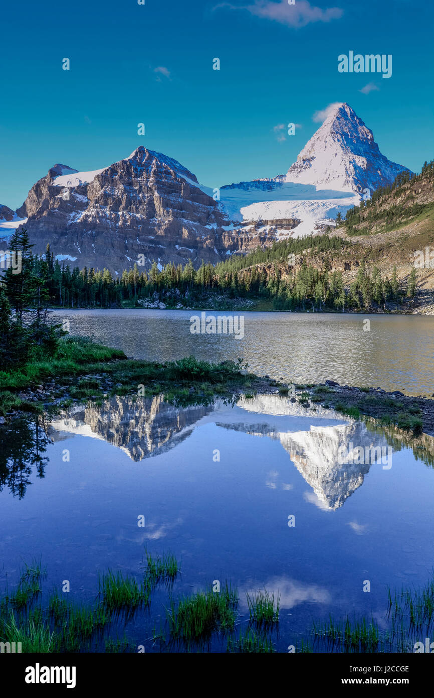 Mount Assiniboine and Mount Magog as seen from Sunburst Lake Stock ...