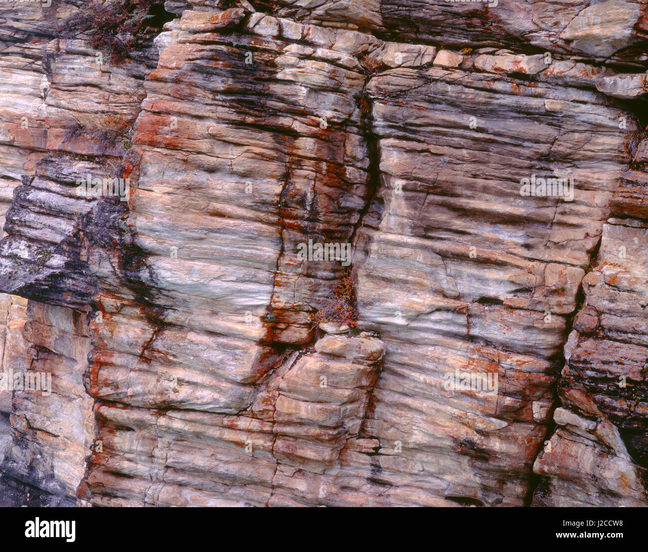 Canada, Alberta, Jasper National Park, Steep, eroded limestone cliffs ...