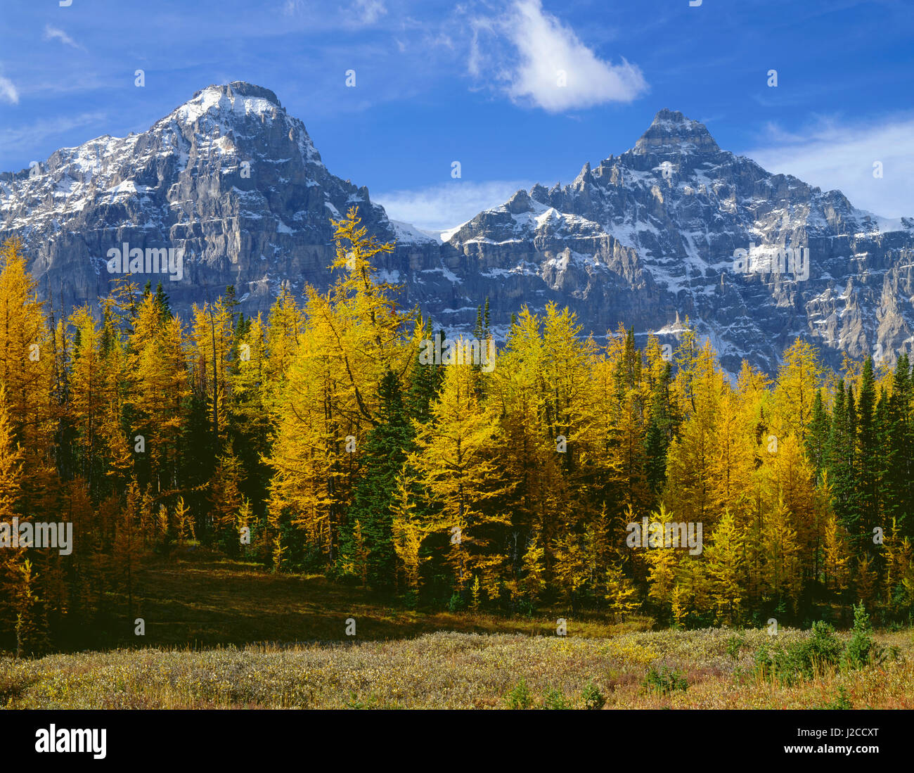 Canada, Alberta, Banff National Park, Deltaform Mountain (left) and ...