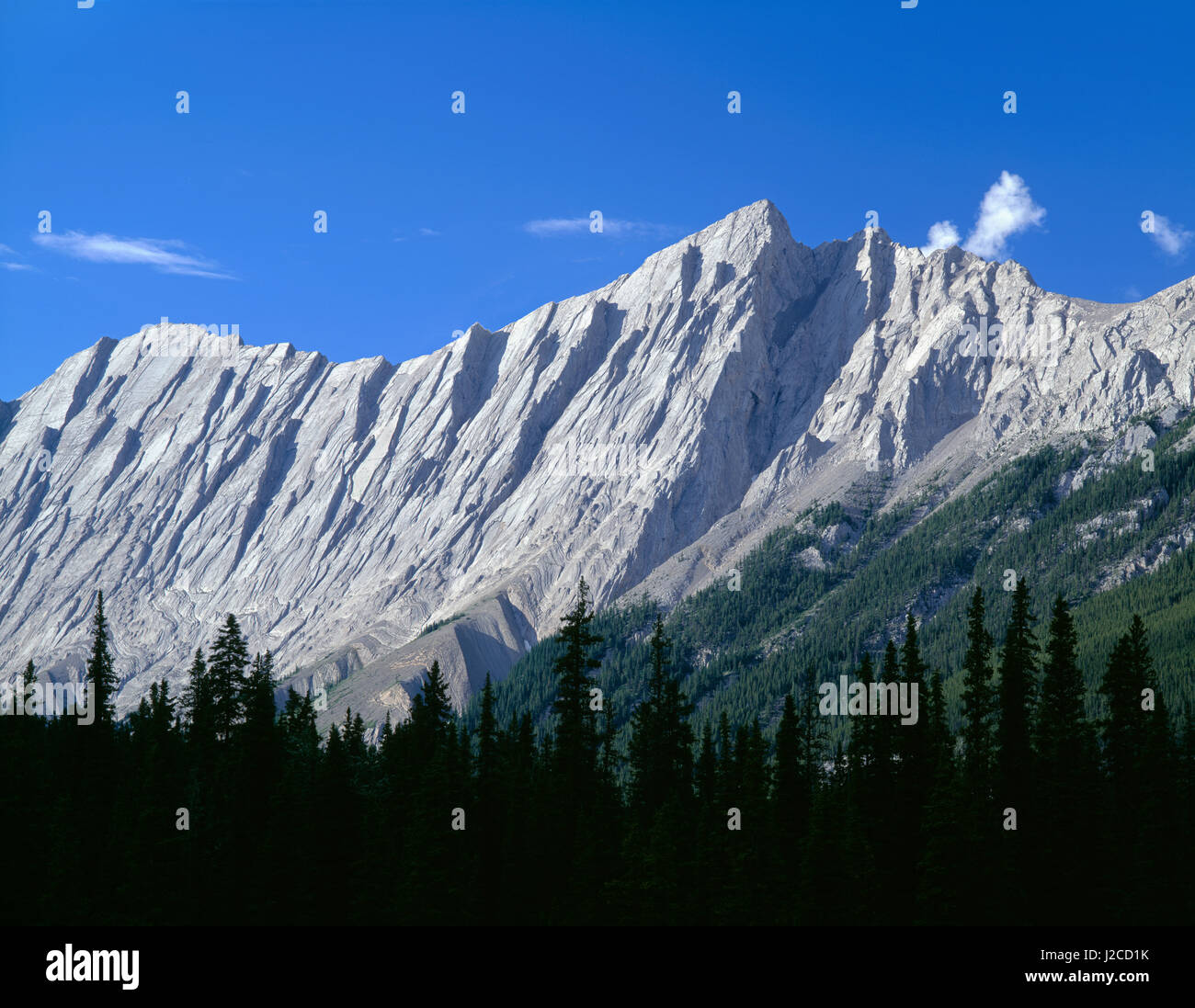 Canada, Alberta, Jasper National Park, Tilted and eroded limestone rock ...