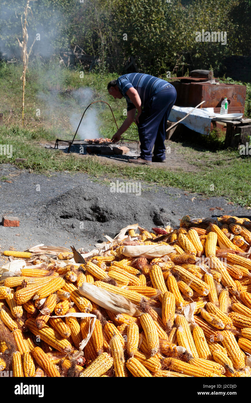 Georgia, Telavi. Corn harvest from a nearby farm, with a farmer tending ...
