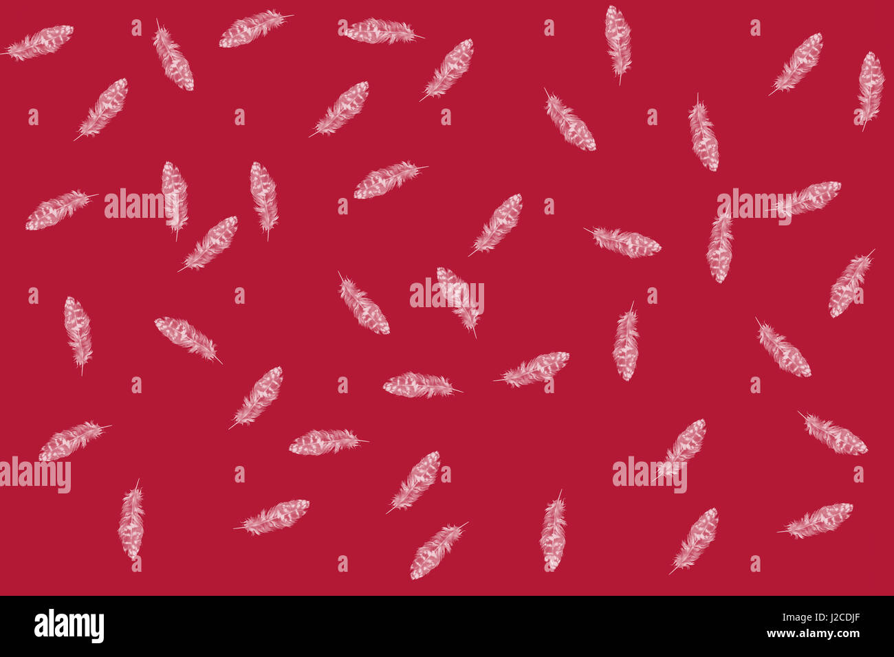 Abstract feather background Stock Photo - Alamy