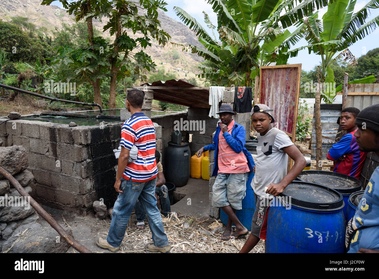 Cape Verde, São Miguel, distillery for Grogue, the typical Cape Verdean ...