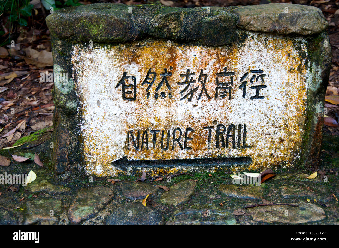 Hong Kong, Tai Po Kau Nature park trail marker Stock Photo - Alamy