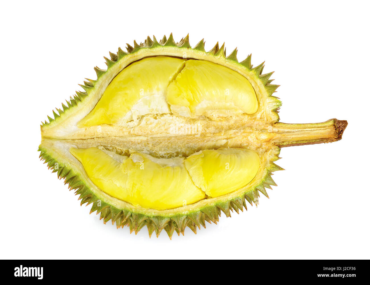 King of fruits, Half durian isolated on white background Stock Photo ...