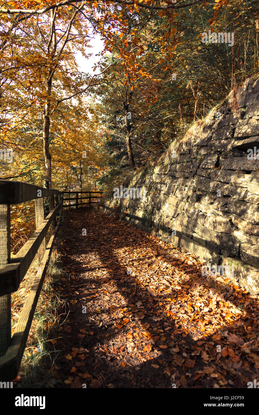 Autumnal colours with a stone wall and leaves on a path in Pitlochry ...