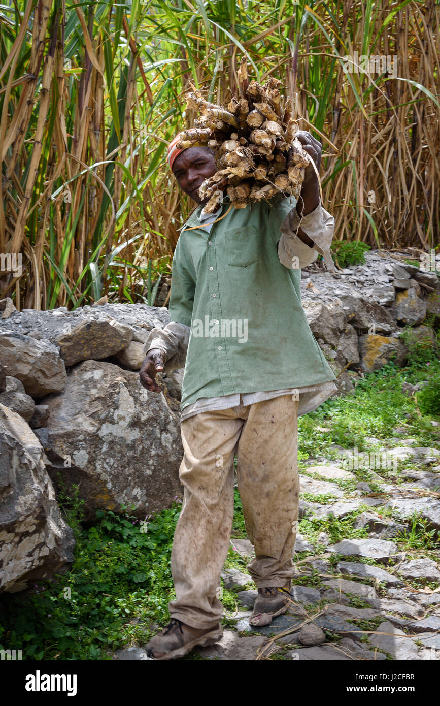 Man wearing cape hi-res stock photography and images - Alamy