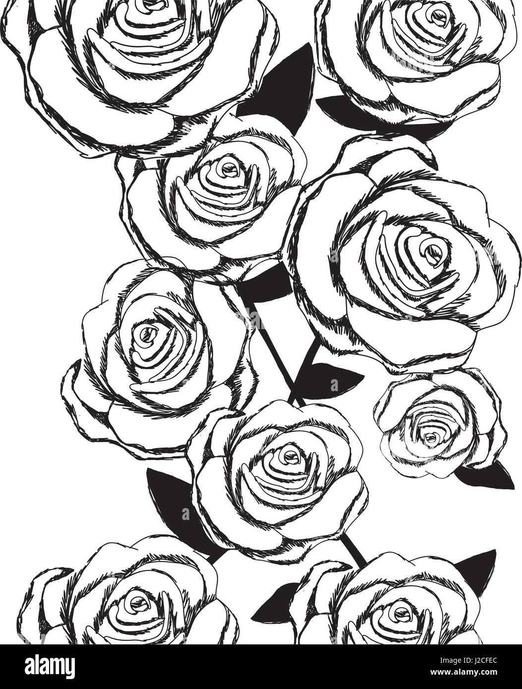 monochrome sketch of roses pattern Stock Vector Image & Art - Alamy