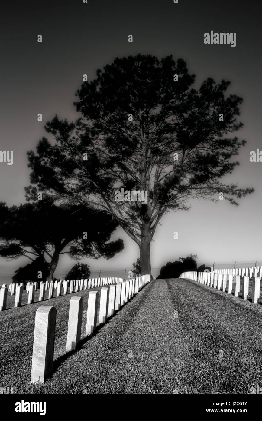 Early morning at a southern California cemetery Stock Photo - Alamy