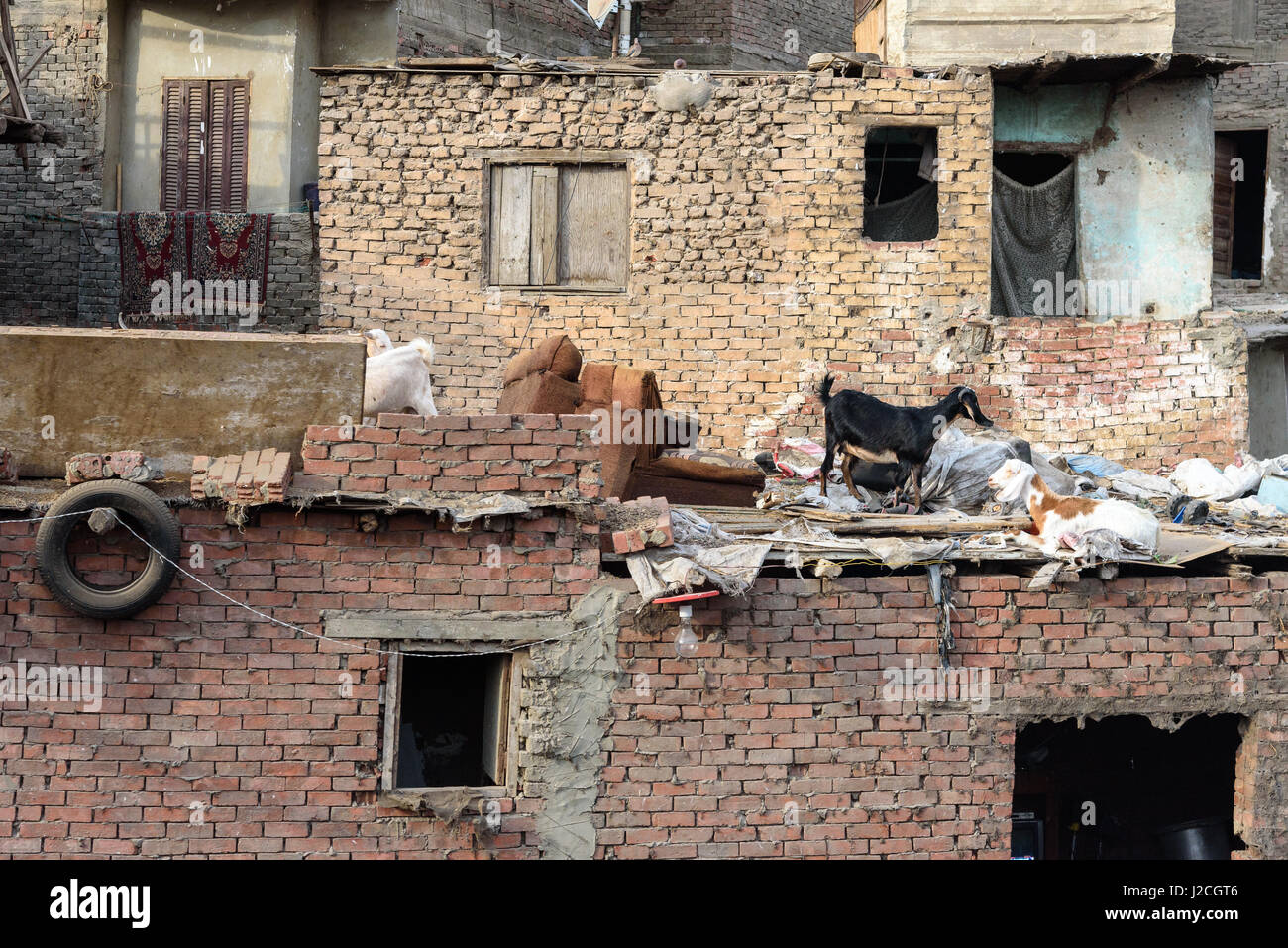 Egypt, Cairo Governorate, Cairo, Street Scene Stock Photo - Alamy
