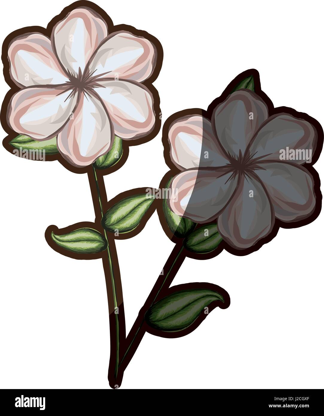 Shading flower Stock Vector Images - Alamy