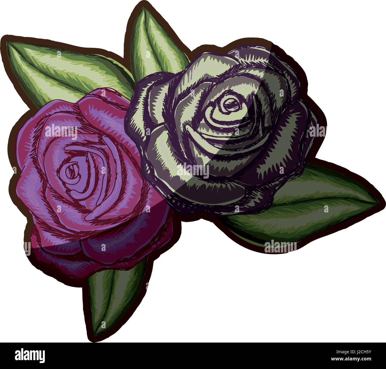 pair realistic flowered rose and withered rose with leaves Stock Vector ...