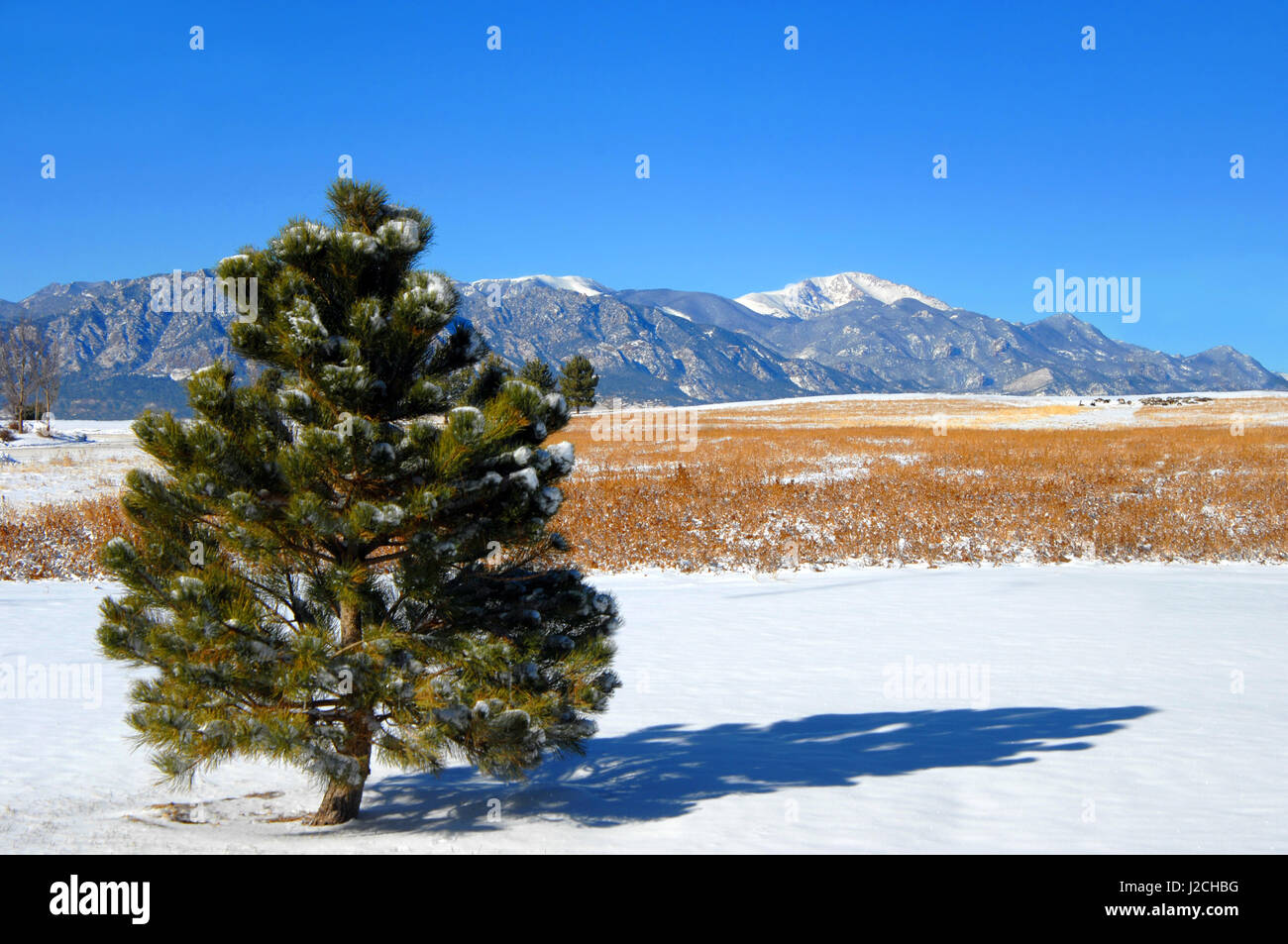 Alone with Pike's Peak View Stock Photo - Alamy