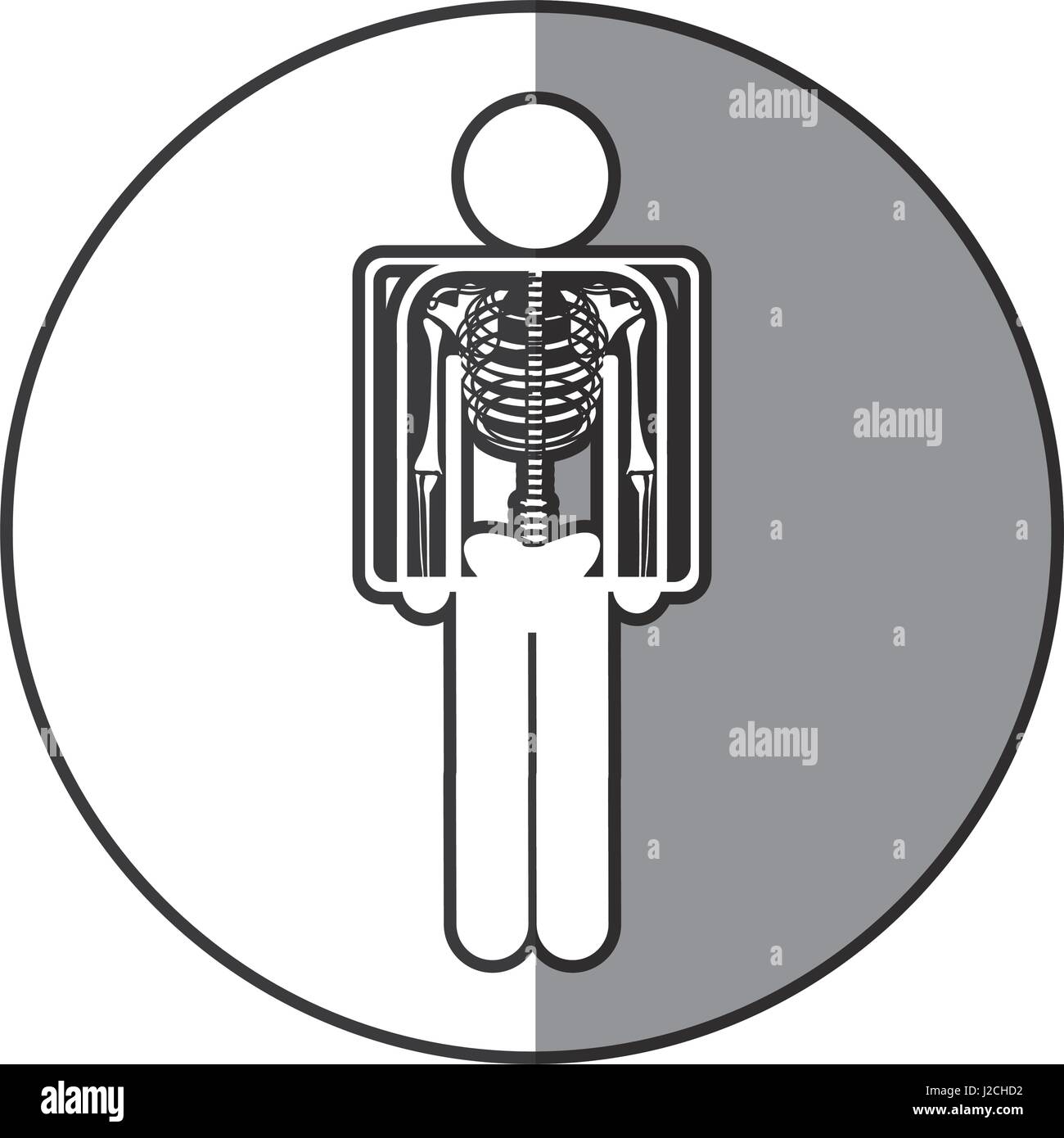 X rays radiology Stock Vector Images - Alamy