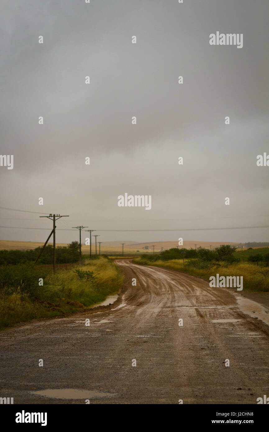 South Africa, Western Cape, Cape, Garden Route, around Cape Town. A ...