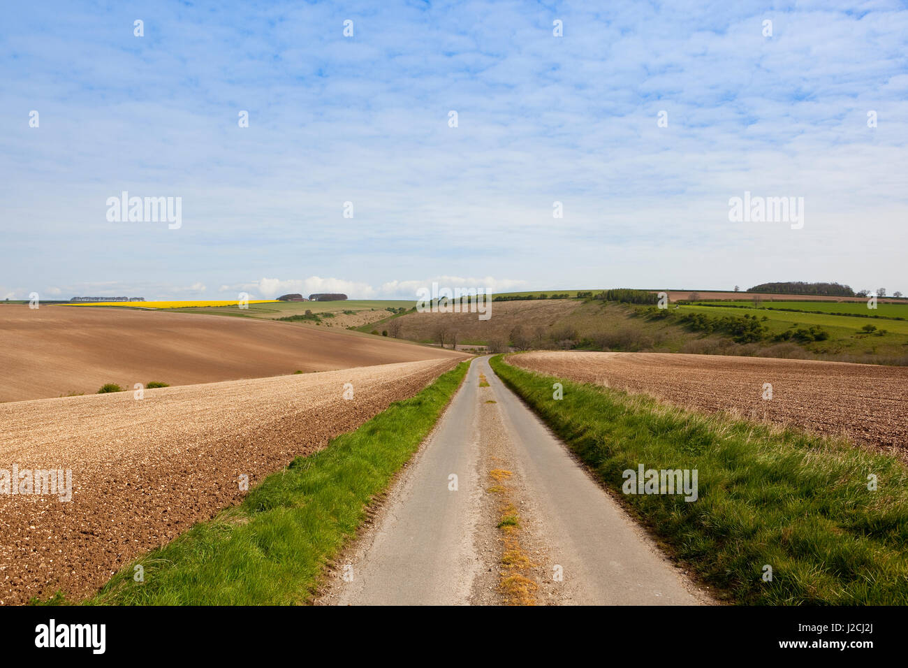 a small country road going through undulating agricultural scenery in ...