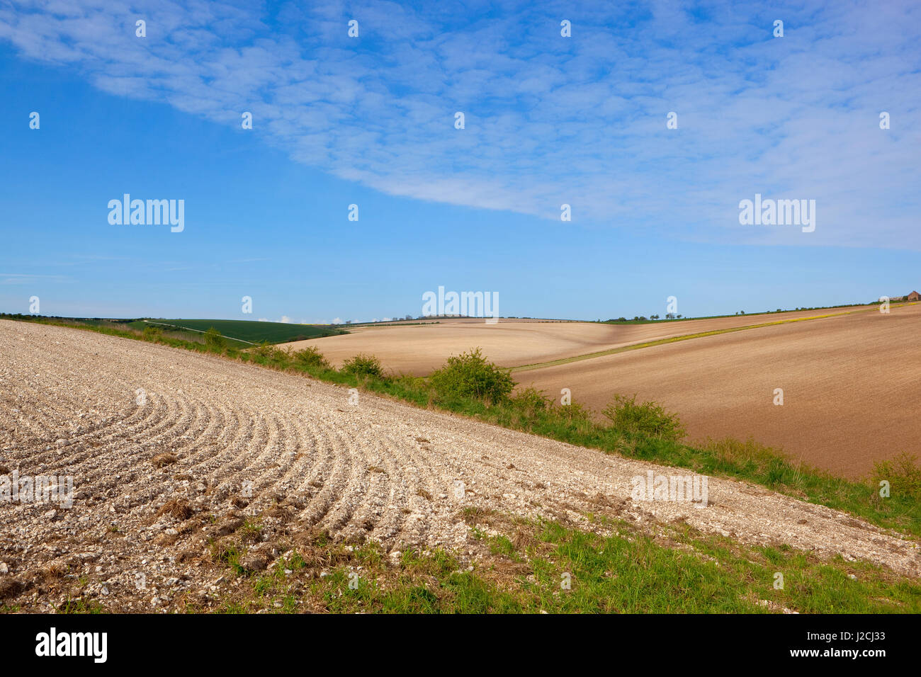 lines and patterns in newly cultivated chalky soil in the undulating ...