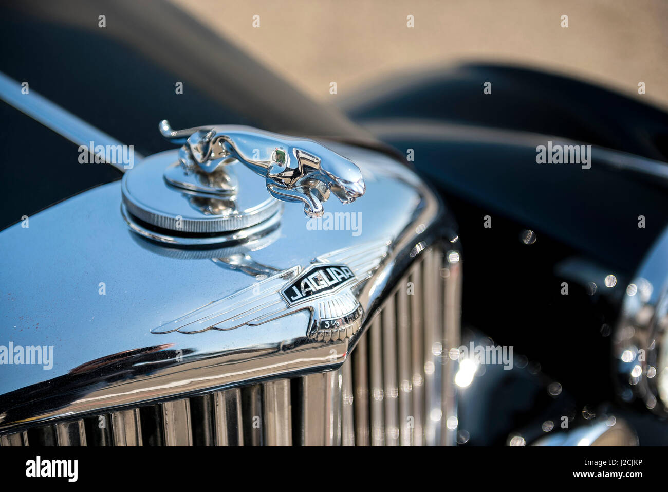 Leaping Cat Bonnet Mascot on Classic Jaguar Stock Photo - Alamy
